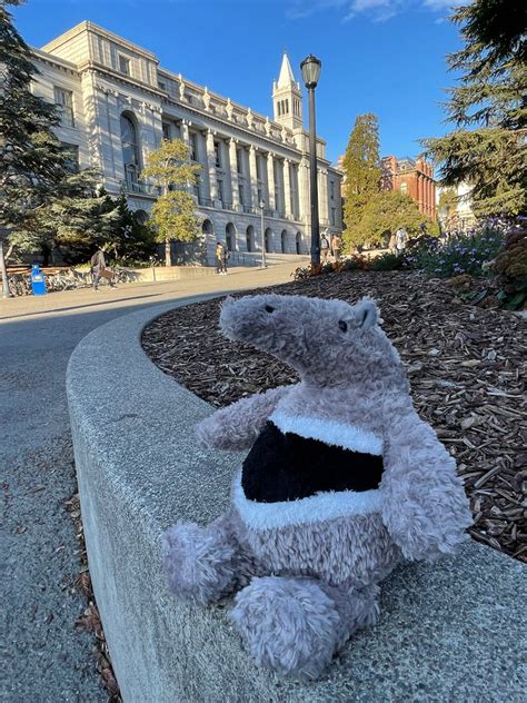 Mba Ucimerage Recruitment Bschool Cal Msba Mie Mpac Mfin