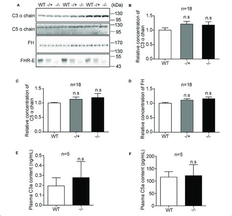 Detection Of Plasma Levels Of Major Complement Factors Among Mice Of Download Scientific