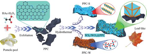 Schematic Illustration Of Synthesis Process Download Scientific Diagram