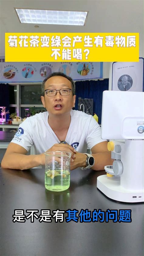 菊花茶泡了为什么会变绿菊花茶变绿后能继续喝吗？ 知乎