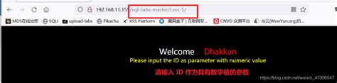 Sqli Labs Master 过关 1 10 （附解题思路及各注入方法解析）lfi Labs Master闯关 Csdn博客