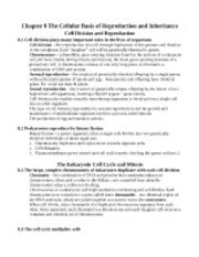 Chapter The Cellular Basis Of Reproduction And Inheritance Chapter The Cellular Basis Of