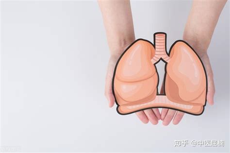一味黄芪，巧搭配泡水，每天一杯，养肝补肾、益气补血、健脾祛湿 知乎