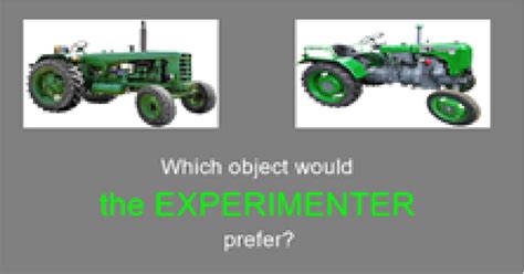 Example Items From The Preference Overlap Task Download Scientific Diagram