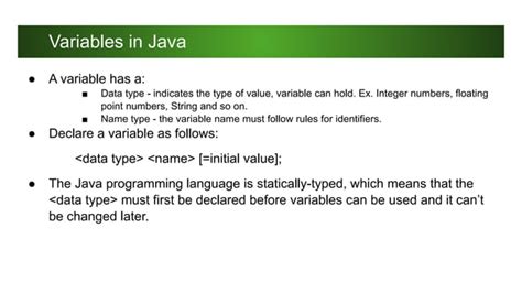 Literals And Variables 1pdf