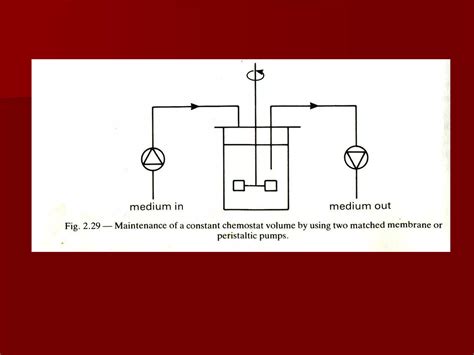 batch fed batch continuous cultivation ppt biological sciences