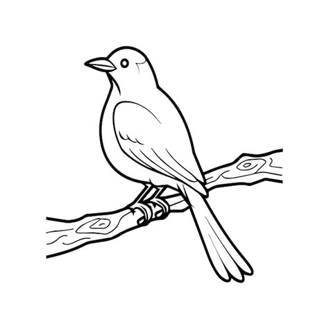 Premium Vector A Drawing Of A Bird On A Tree Branch