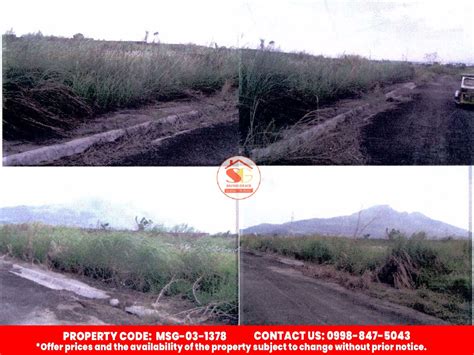 Msg 03 1378 Palacio Real Subd Brgy Makiling Calamba City Laguna Foreclosed Residential Lot