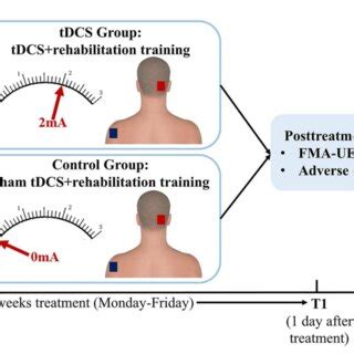 FIGURE Schematic Diagram Of The Experimental Design TDCS Transcranial Download Scientific