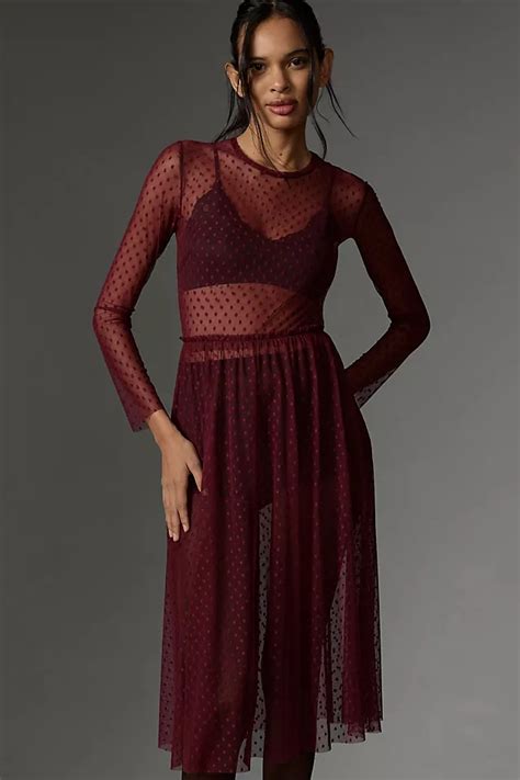 Only Hearts Natasha Long Sleeve Sheer Dress Anthropologie