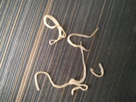 Weird String In Ramen Noodles Rtipofmyfork