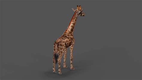 Artstation Fur Giraffe Rigged And Animated In Blender Game Assets