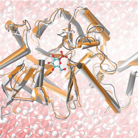 Simulation Box Showing The Enzyme At The End Of The Md Trajectories