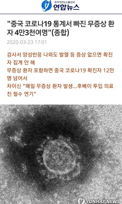 짱깨 코로나 통계의 진실  유머 움짤 이슈 에펨코리아