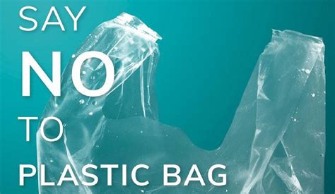 Sikkim Pollution Control Board Asks State Government To Ban Plastic Bags