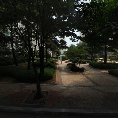 용인시 수지구 성복동 선후합기도 합기도 우리동네 정보마켓