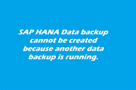 Sap Hana Backup Cannot Create Because Another Data Backup Is Running