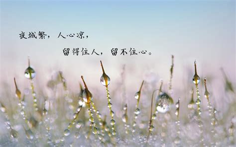 彻底心凉了的文字图片 彻底心寒心碎的图片 心凉的图片心寒 大山谷图库