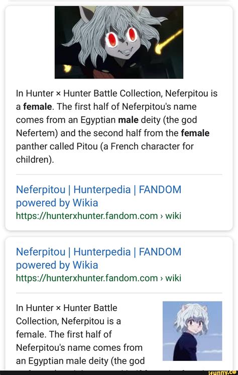 In Hunter X Hunter Battle Collection Neferpitou Is A Female The First