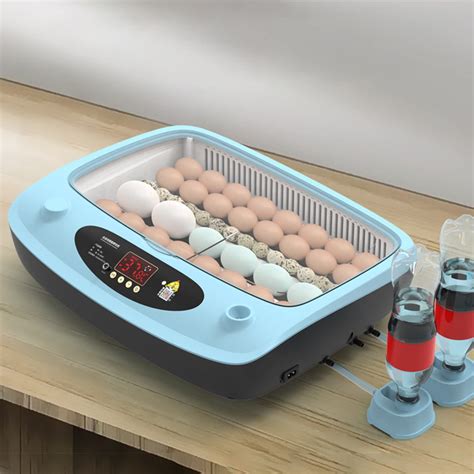 Buy Gopper Egg Incubator Hatching Eggs Automatic Incubator With Automatic Temperature