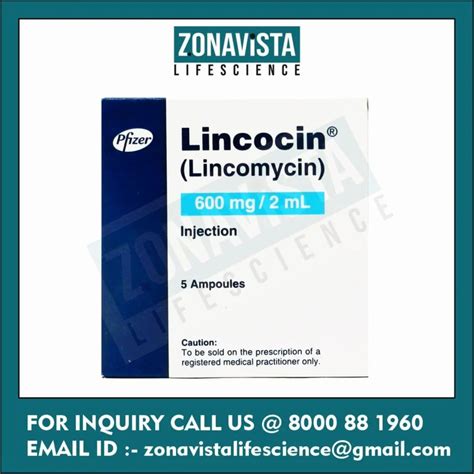 Lincomycin Injection 600mg At ₹ 580 Piece Antibiotic Injection In Surat Id 2853994933355