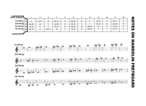 Blank Mandolin Fretboard Diagram