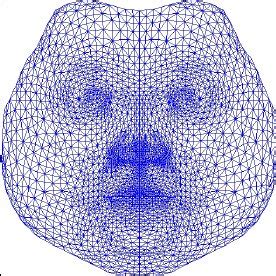 PDF A Multiresolution D Morphable Face Model And Fitting Framework