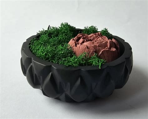 Passive Diffuser Moss Art Flower Shape Diffuser Flower Aroma Stone