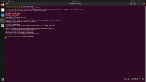 边缘计算机jetson Agx Orin配置pytorch和yolo11使用jetson Agx Pytorch Csdn博客