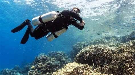 PADI Courses