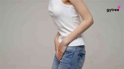 Std Testing Window Meaning And Importance Std Testing Window Meaning And Importance