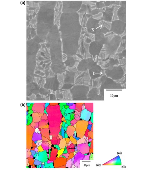 A A Bse Sem Image Showing An Undeformed Microstructure With Two