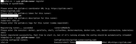 使用 Gitlab Ci 完成持续继承和持续部署 V2ai：通往人工智能之路