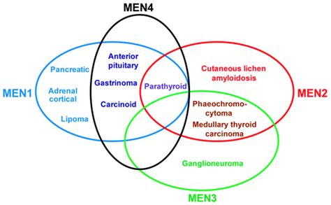 Multiple Endocrine Neoplasia Men Syndrome Focus Dentistry