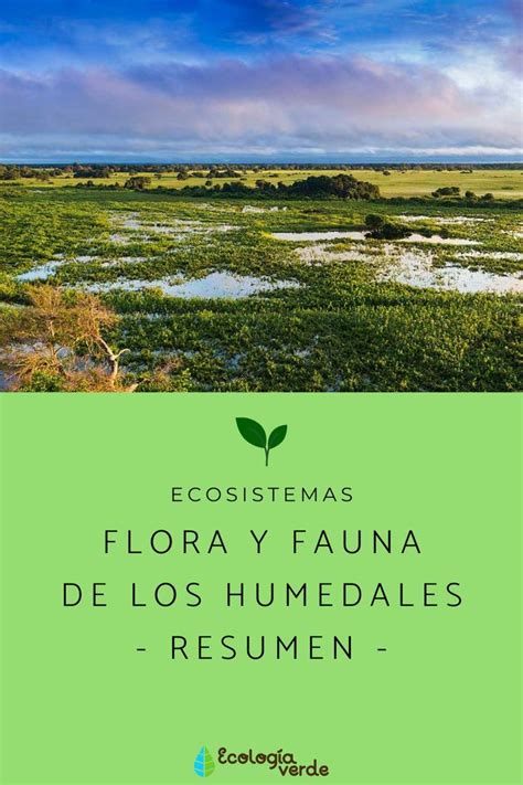 Flora Y Fauna De Los Humedales Ejemplos Y Fotos