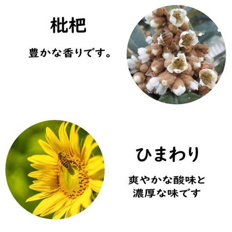 九州産 蜂蜜 500g 国産 百科密 ハチミツ 北部九州だけで採取された はちみつ 100 北海道東北沖縄宛て レターパック使用 福岡江