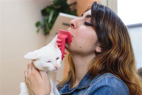 Licki Brush Cat Grooming Tongue Brush