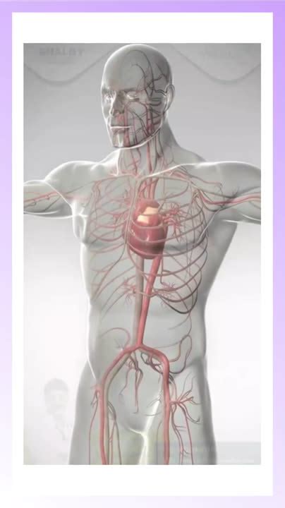 Dr Siddhant Jain On Linkedin Hearthealth Heartawareness Indore Cardiologistindore