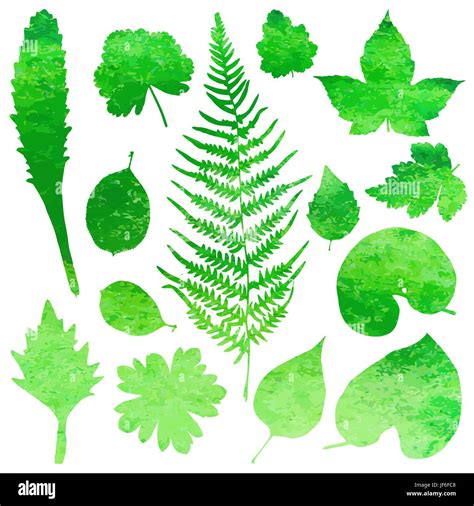 Leaf Object Art Isolated Model Design Project Concept Plan