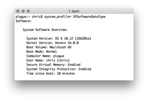 Chris Laird Macos 1012 Sierra Flush Dns