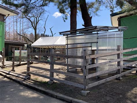 長岡市悠久山小動物園 on Twitter 今日も今日とて春作業の飼育員たち 今年もあの動物たちの放飼場をせっせと組み立てていますよ