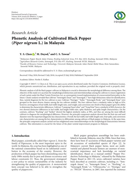 Pdf Phenetic Analysis Of Cultivated Black Pepper Piper Nigrum L In Malaysia