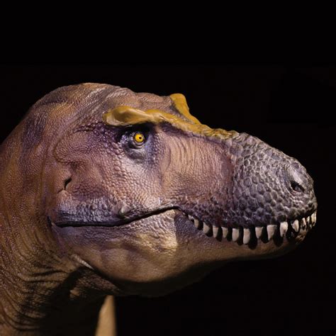 Pnso 18 Cameron The Tyrannosaurus Rex 135 Scale Scietific Art Model