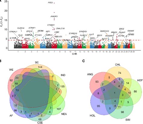 Selection Signature Analysis Of Different Cattle Populations And