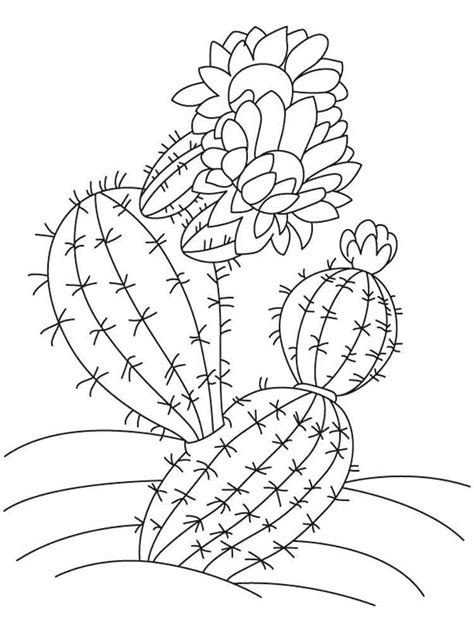 Dibujos De Cactus Para Colorear 100 Dibujos Para Imprimir