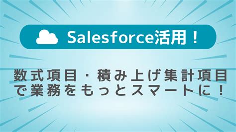 【salesforce】複数選択項目を子オブジェクトに参照する方法 ウェブマーケティング会社によるsalesforce導入支援＆活用支援