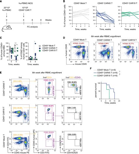 Targeting Cd45 By Gene Edited Car T Cells For Leukemia Eradication And Hematopoietic Stem Cell