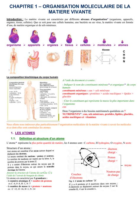 Les Glucides Les Glucides Non Digestibles