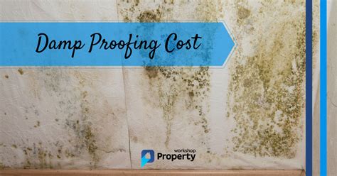 How Much Does Damp Proofing Cost In UK Price Guide