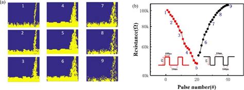 Kinetic Monte Carlo Simulation A The Morphology Of Conductive